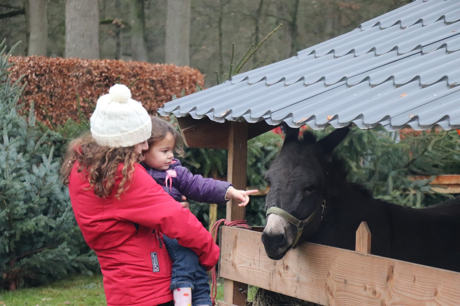 Landgoed Maarsbergen